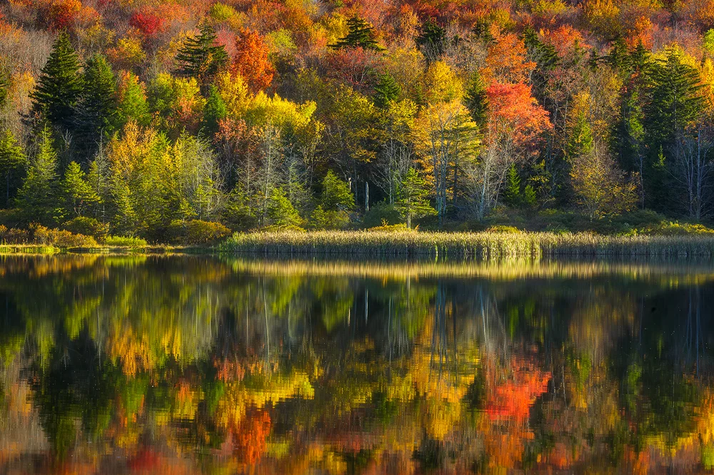 Scotty Perkins Photography