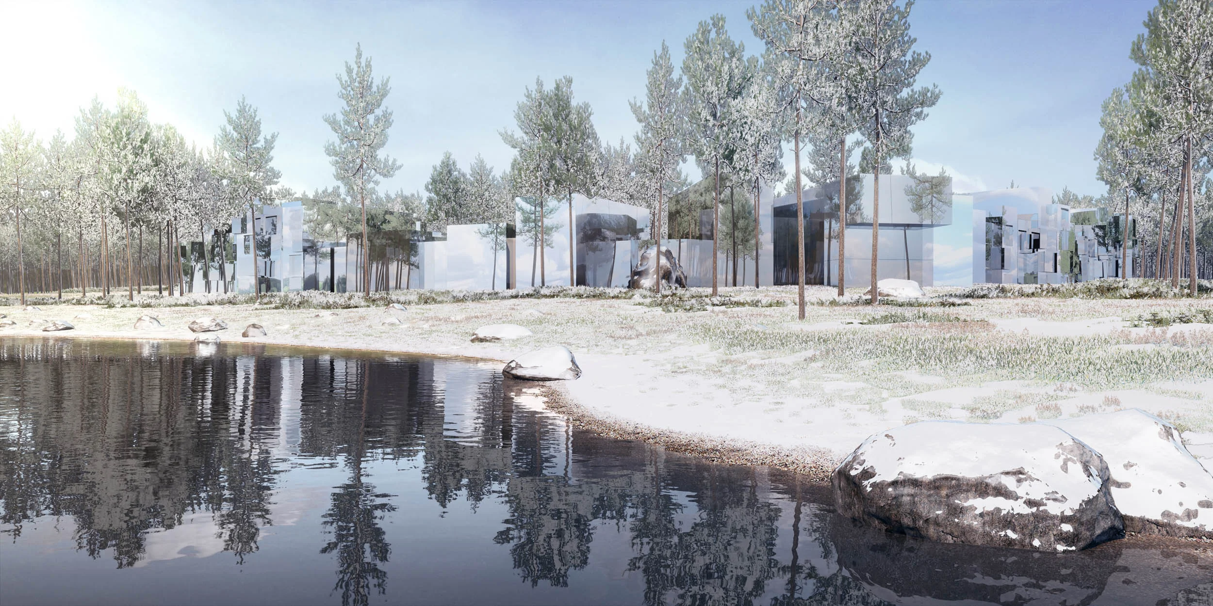 Forest — ANDREJ PERFILOV