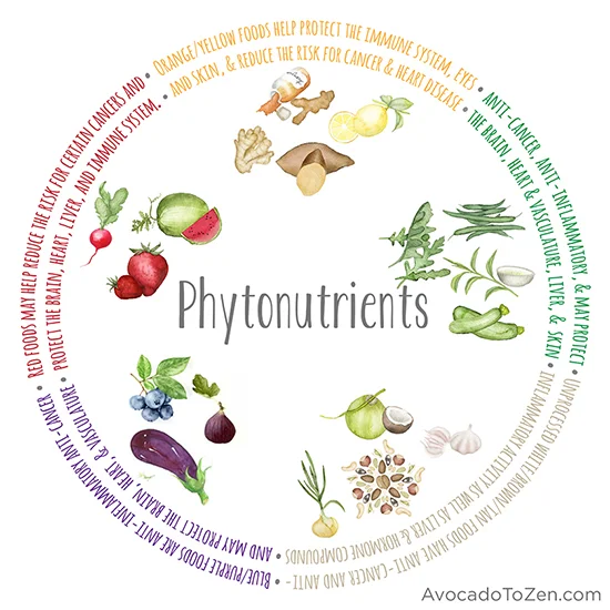 Phytonutrients Part I — Avocado to Zen