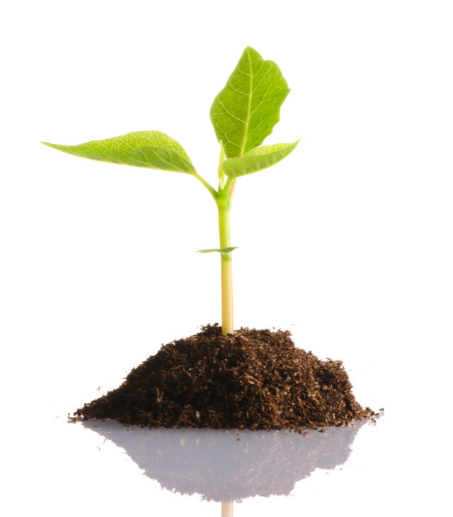 Fiberpartner - We know how. Polyester and bico fibers