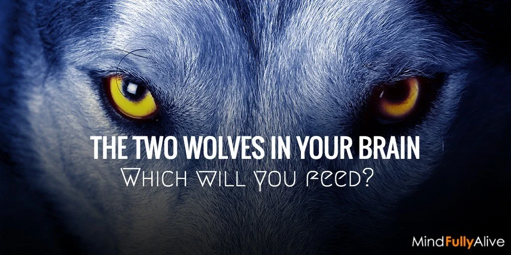 The Two Wolves in Your Brain