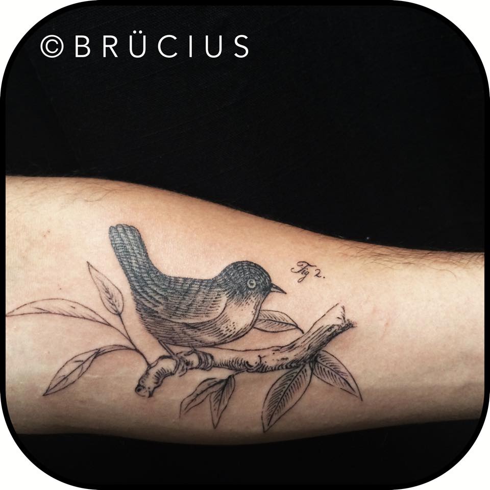 Thrush Bird Tattoo