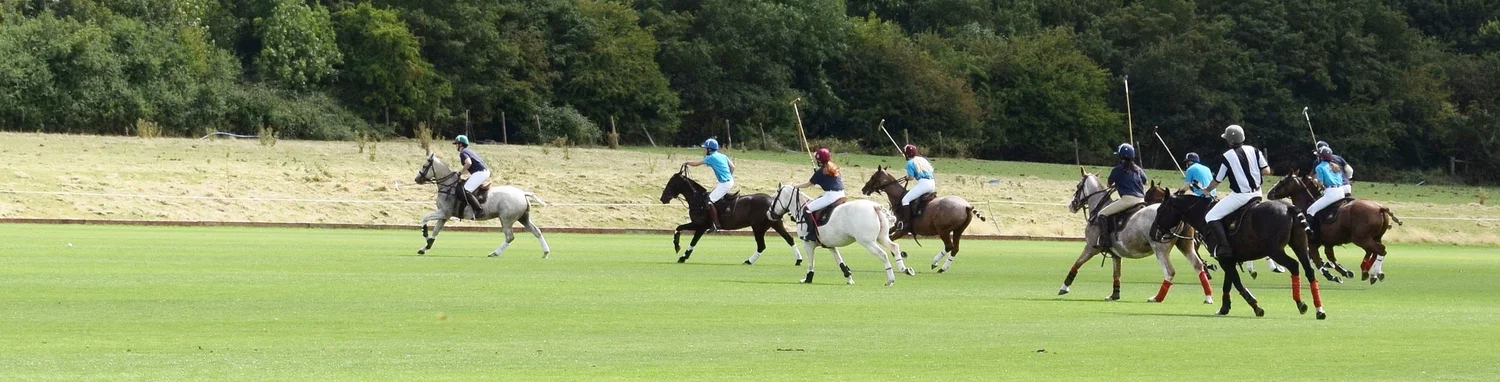 Academy — Leadenham Polo Club
