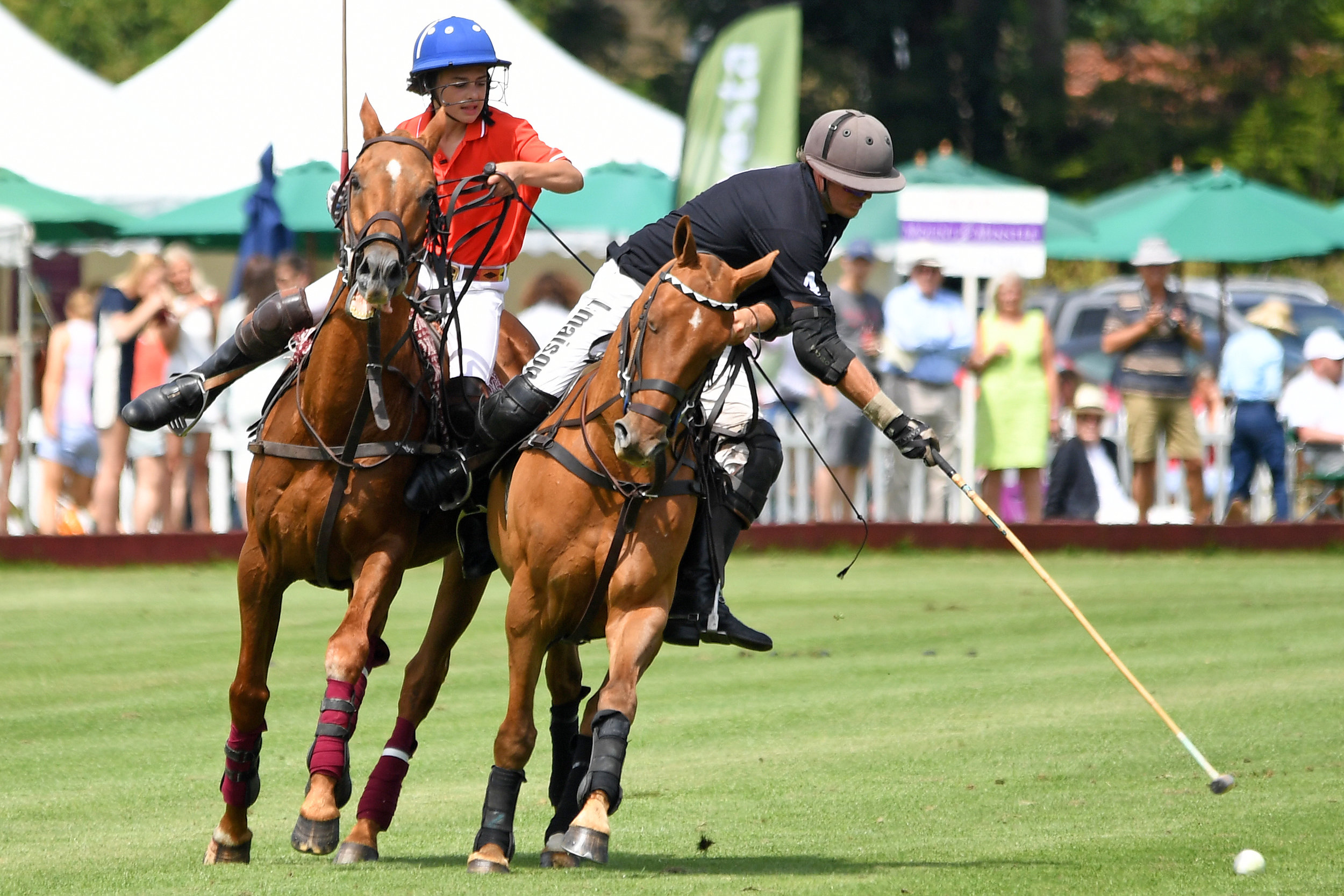 The Club — Leadenham Polo Club