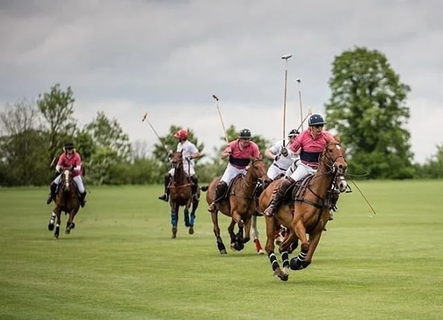 Gallery — Leadenham Polo Club