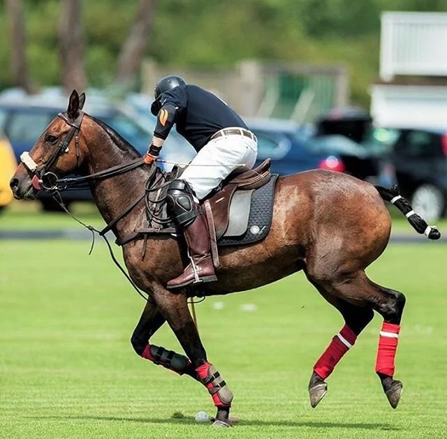 Gallery — Leadenham Polo Club