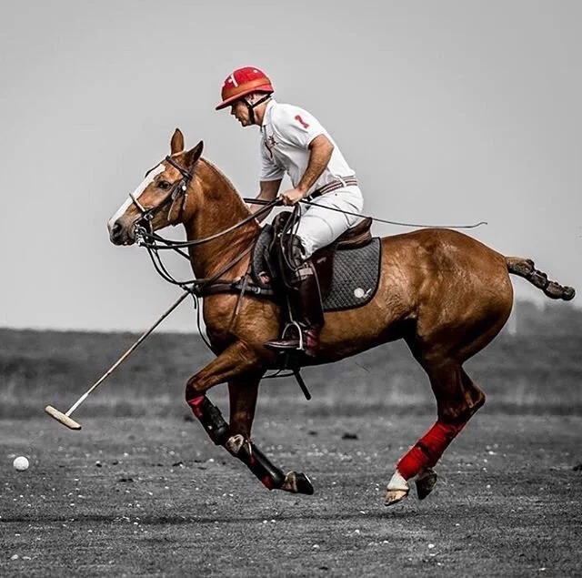 Gallery — Leadenham Polo Club