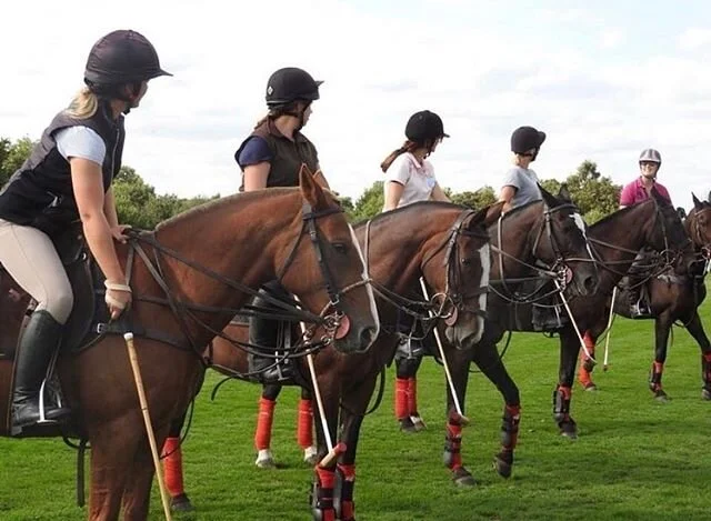 Gallery — Leadenham Polo Club