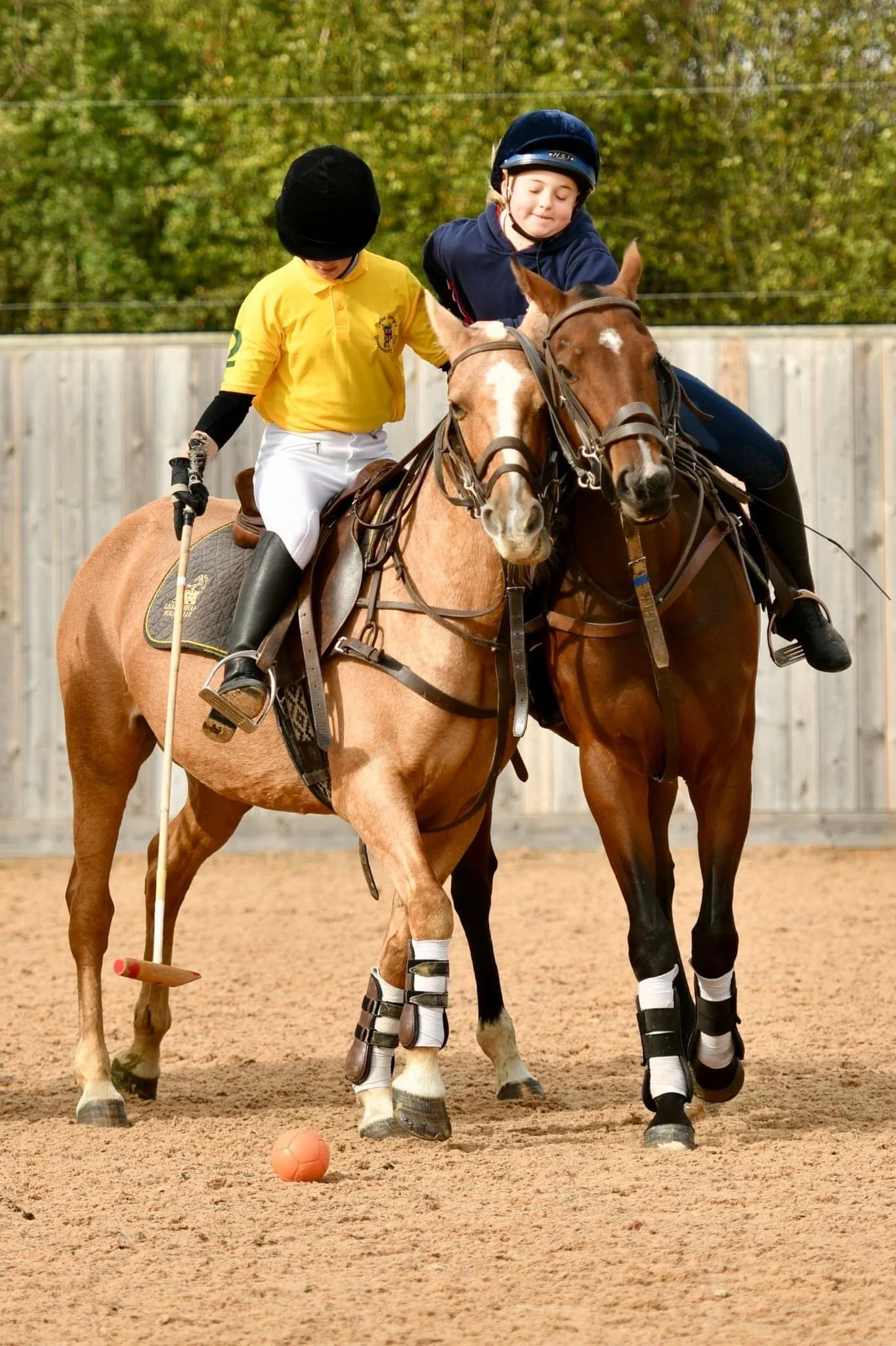 The Club — Leadenham Polo Club