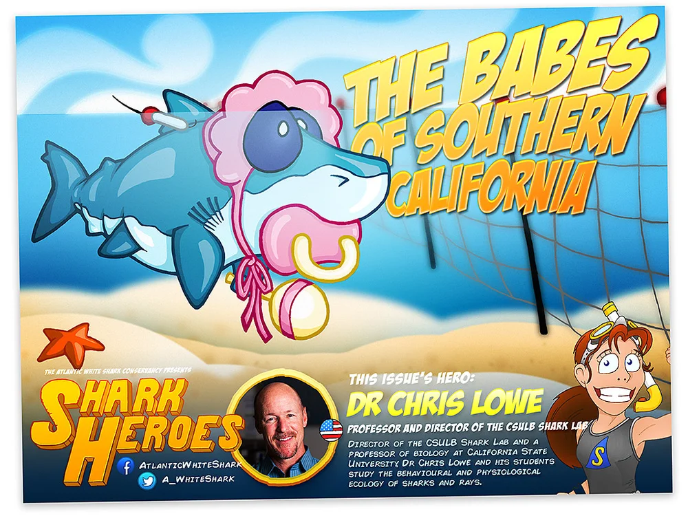 Shark Heroes: Chris Lowe – The Babe white sharks of Southern California ...