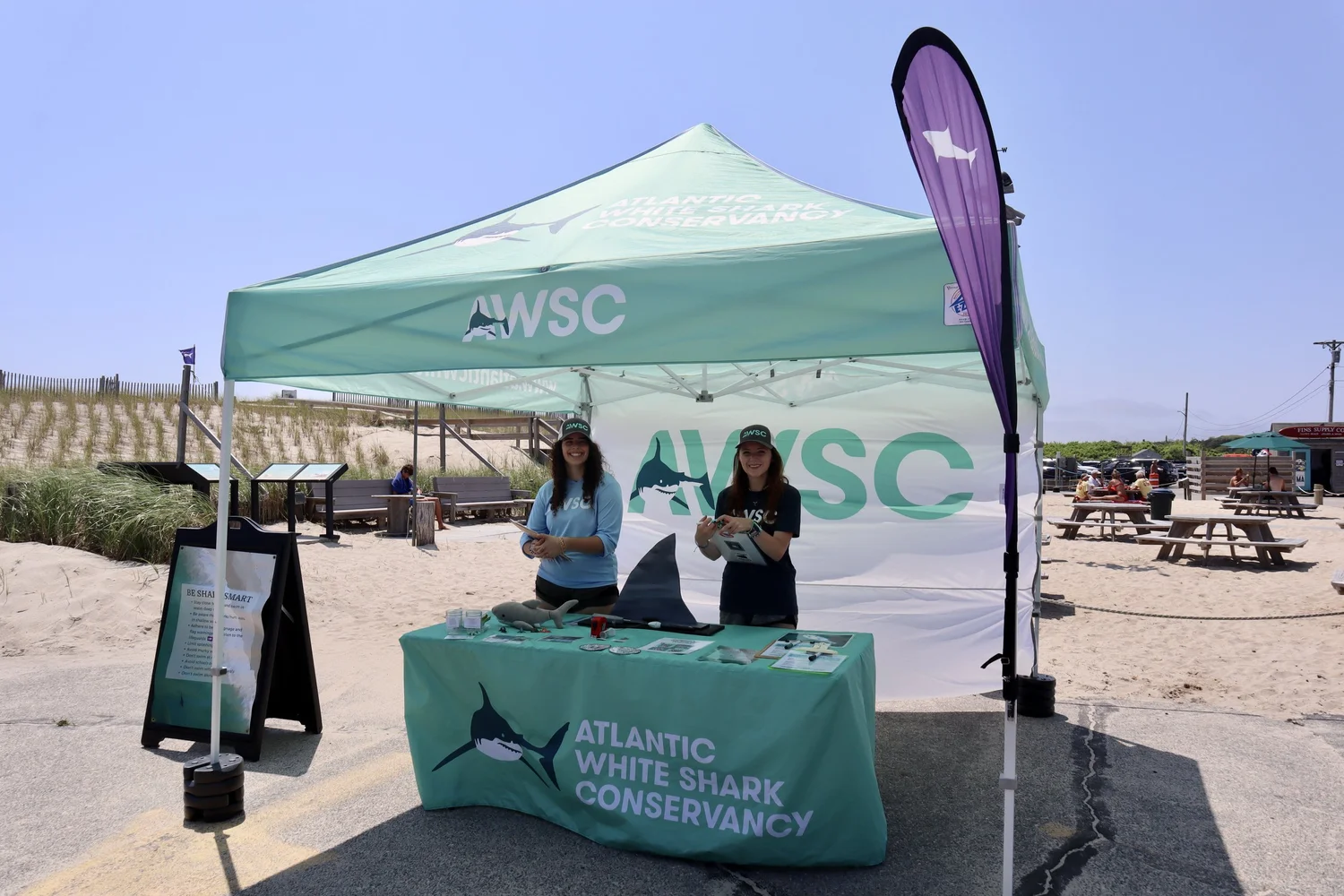Internships at White Shark Conservancy — AWSC