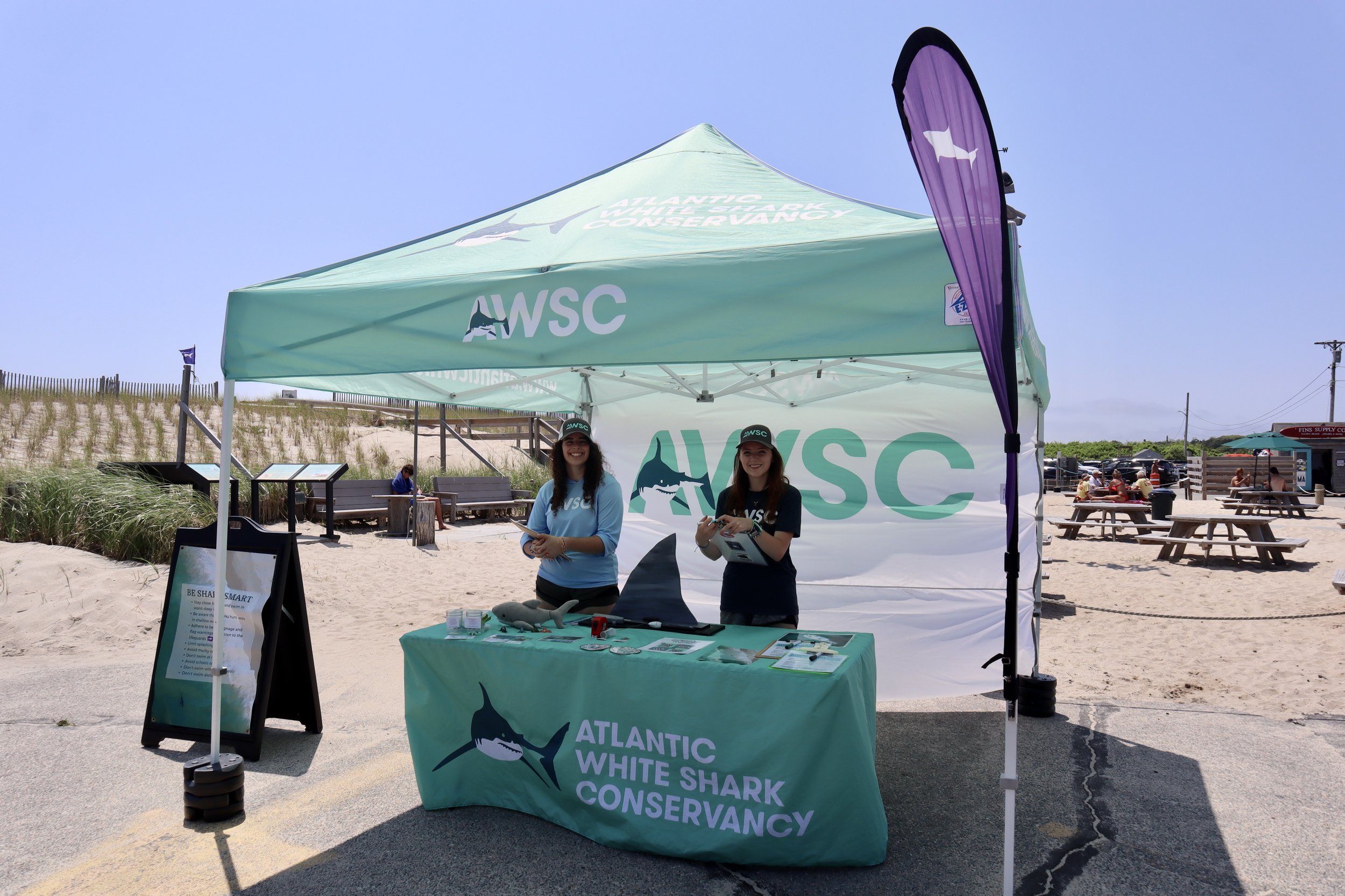 Internships at White Shark Conservancy — AWSC