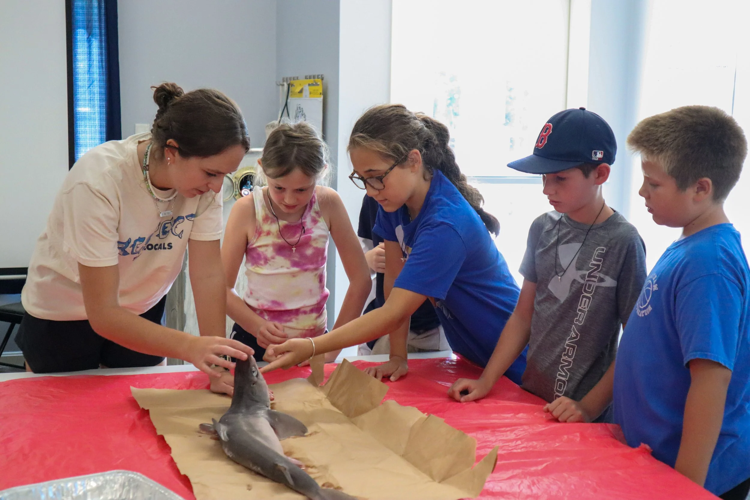 Internships at White Shark Conservancy — AWSC