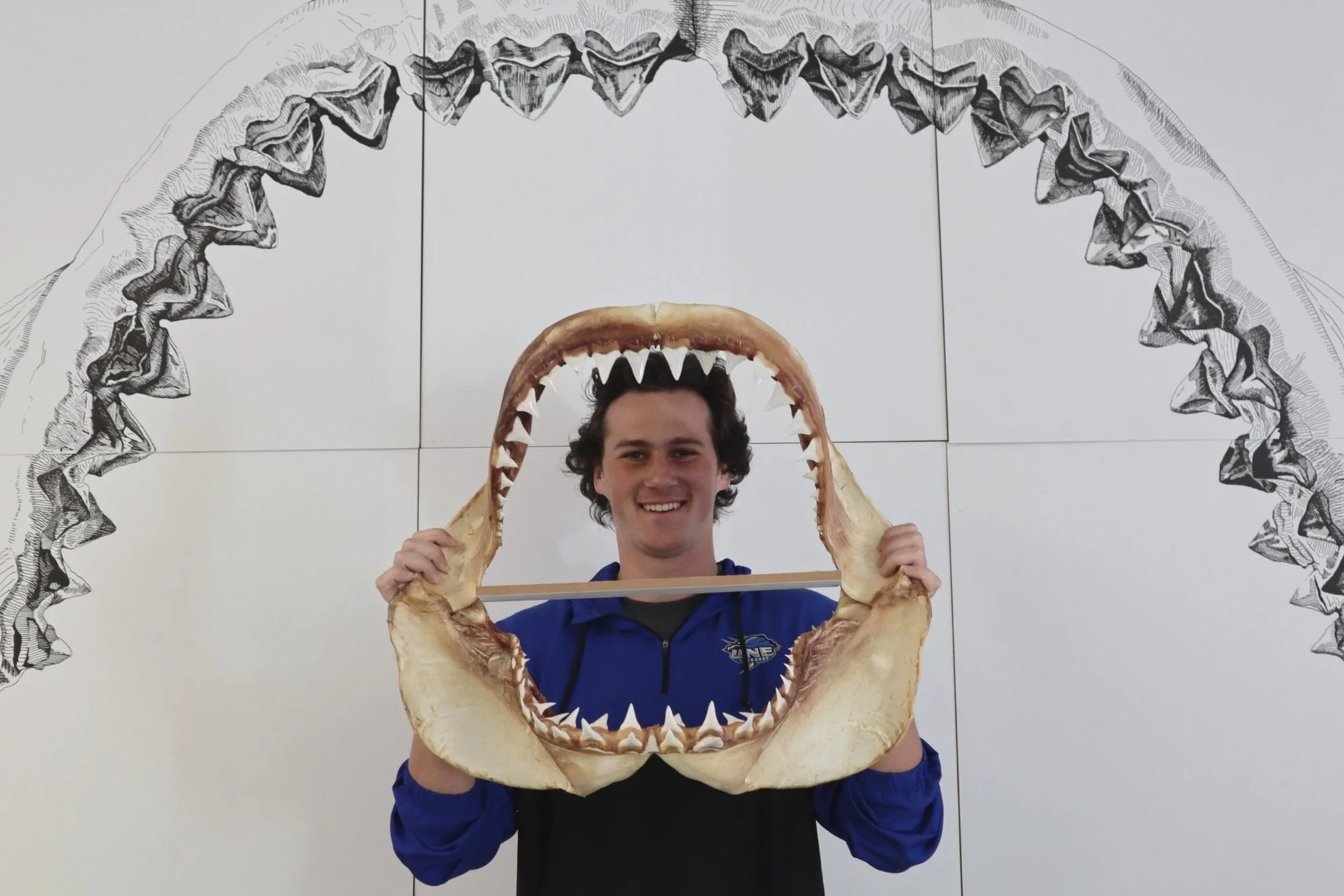 Internships at White Shark Conservancy — AWSC