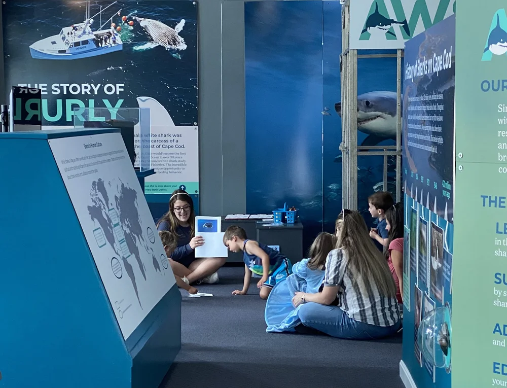 Internships at White Shark Conservancy — AWSC