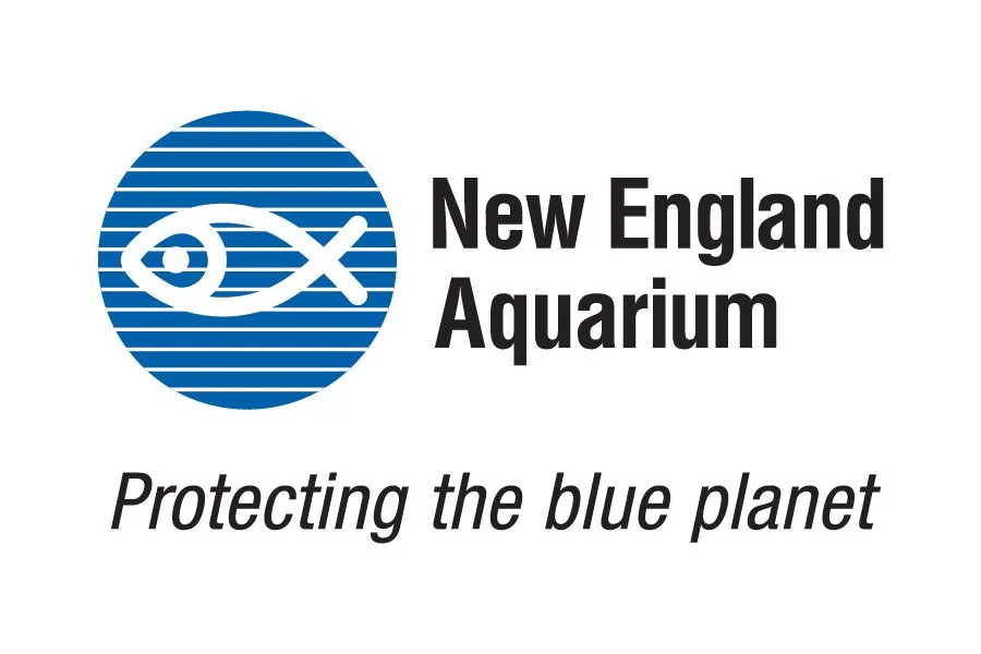 Sharktivity White Shark Tracking App — AWSC