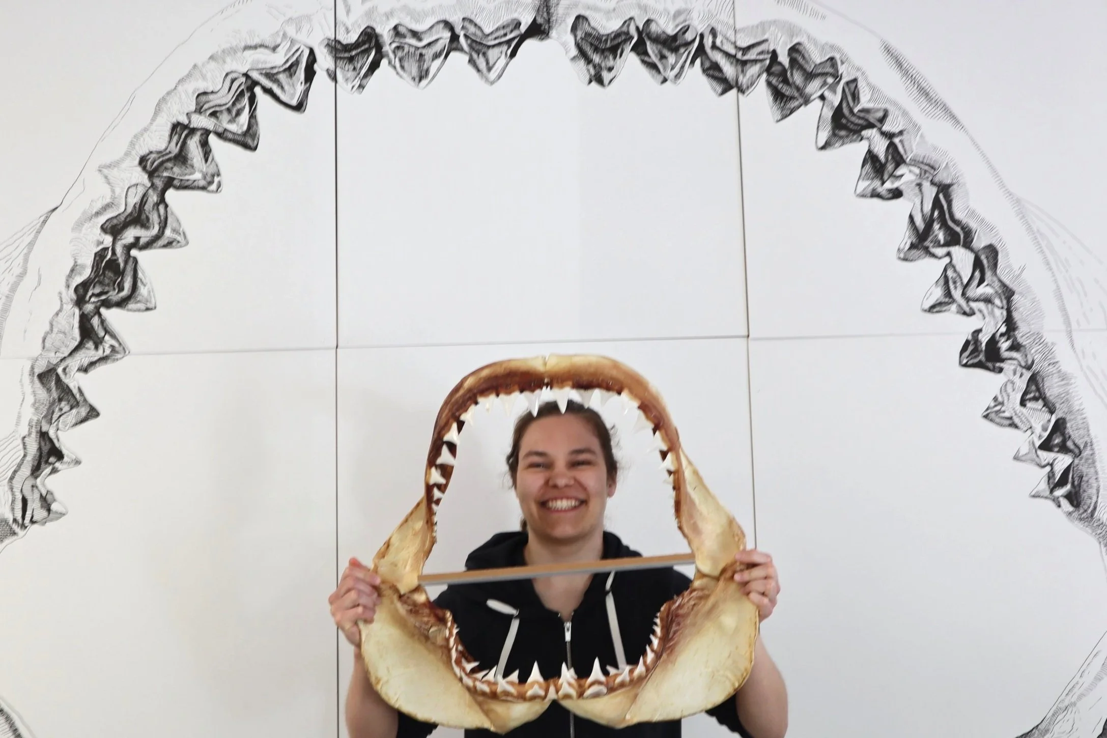 Internships at White Shark Conservancy — AWSC