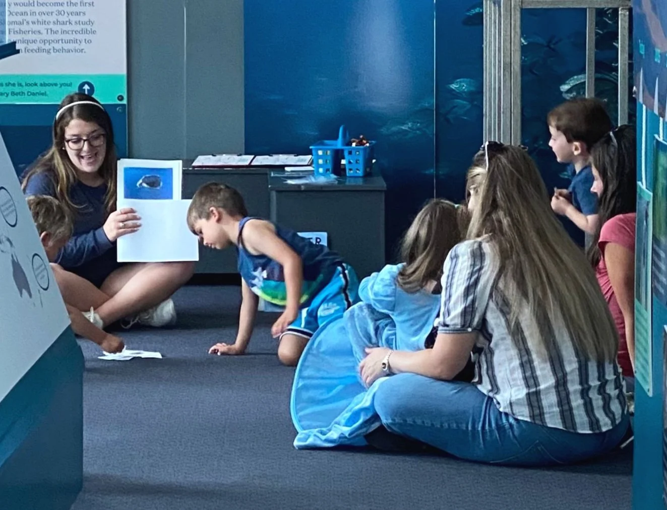 Internships at White Shark Conservancy — AWSC