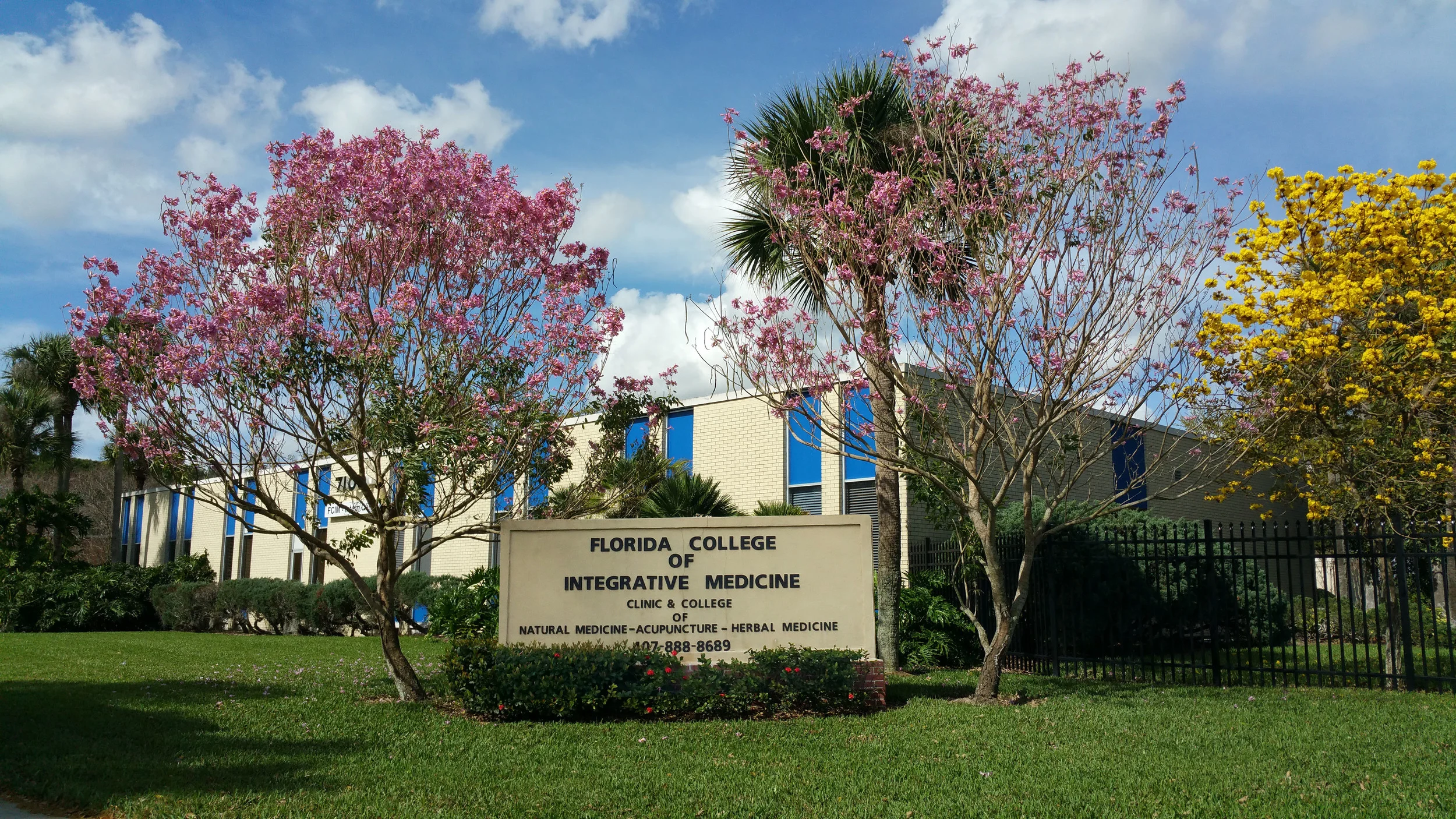 About Us | The History of our Accredited Acupuncture and Herbal ...