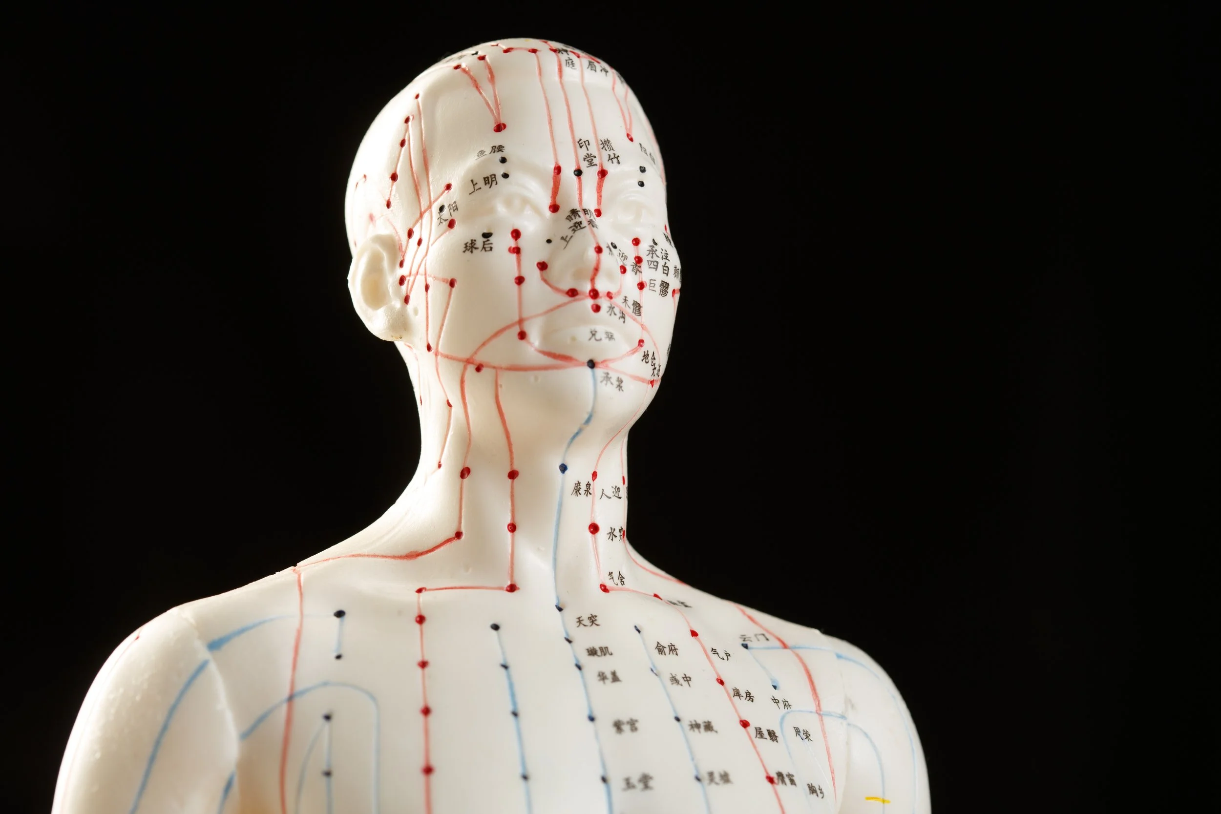 Florida College of Integrative Medicine | Orlando School of Acupuncture ...