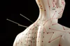 Admissions Information | Join Our Acupuncture and Herbal Medicine ...