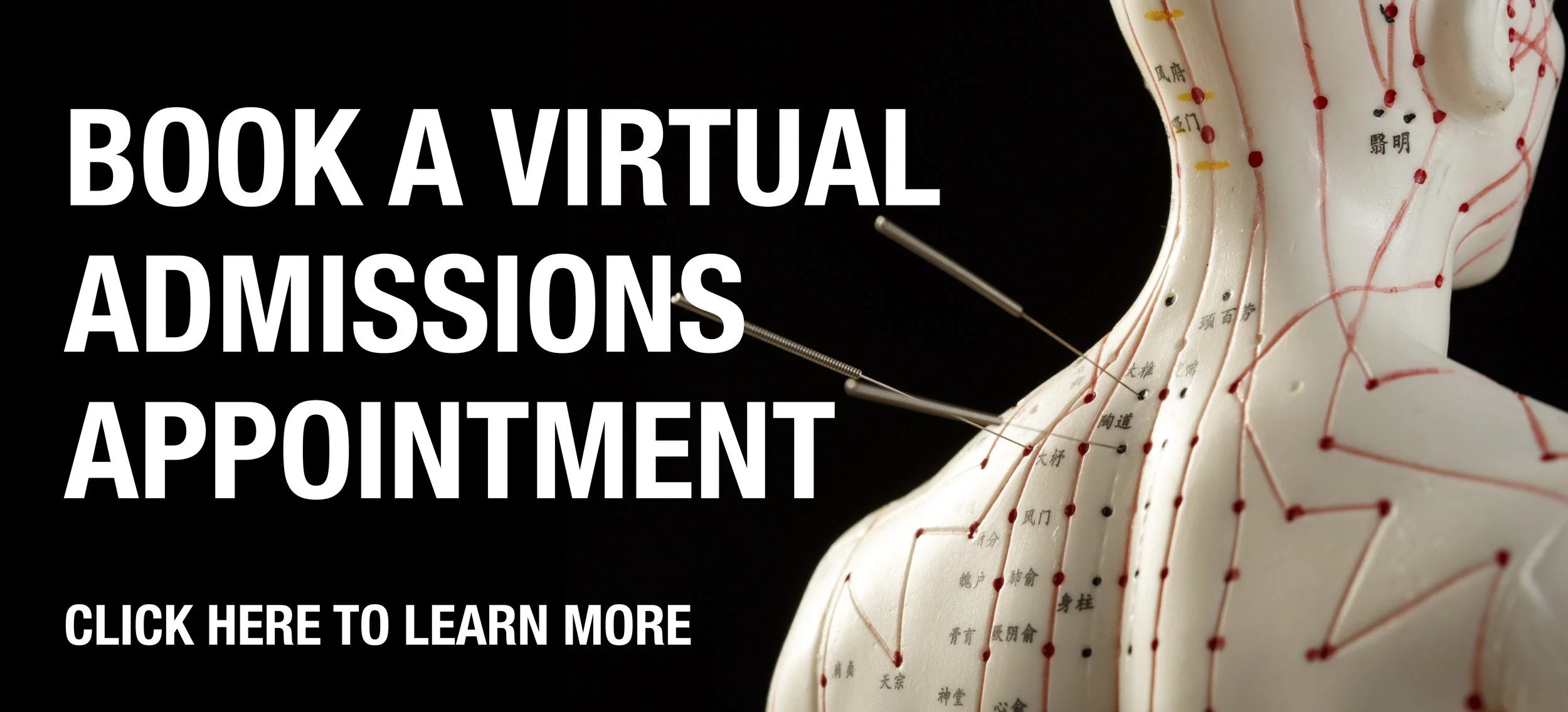 Florida College of Integrative Medicine | Orlando School of Acupuncture ...