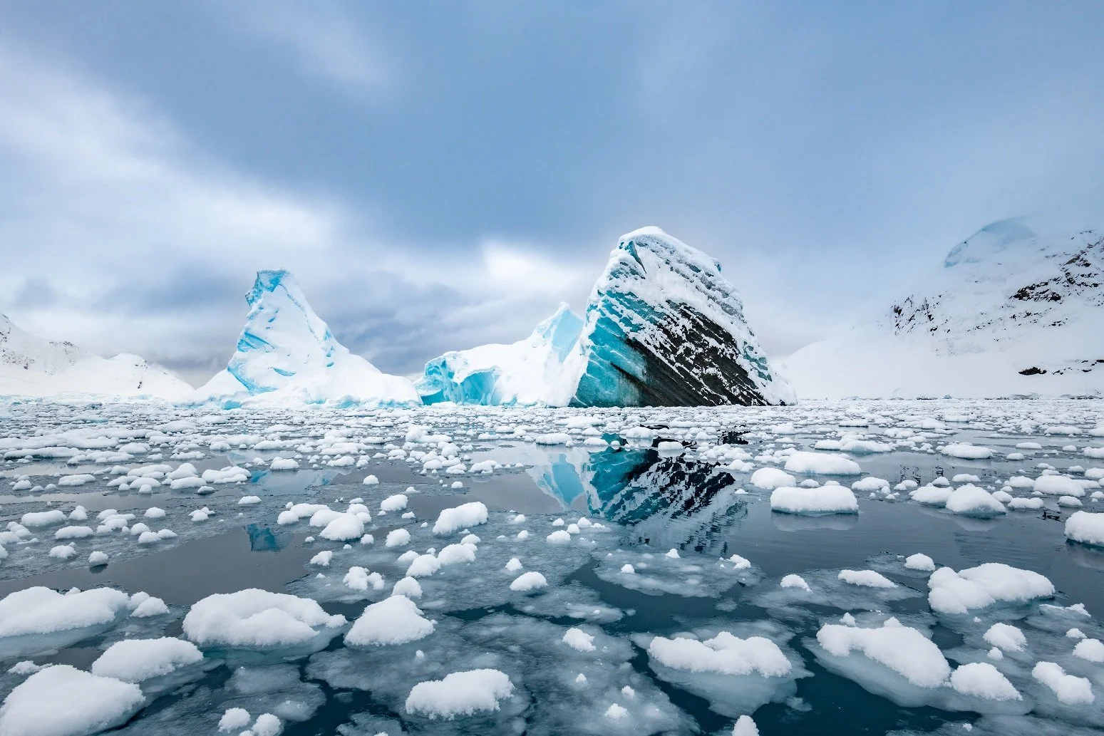 Antarctica — Max Seigal Photography