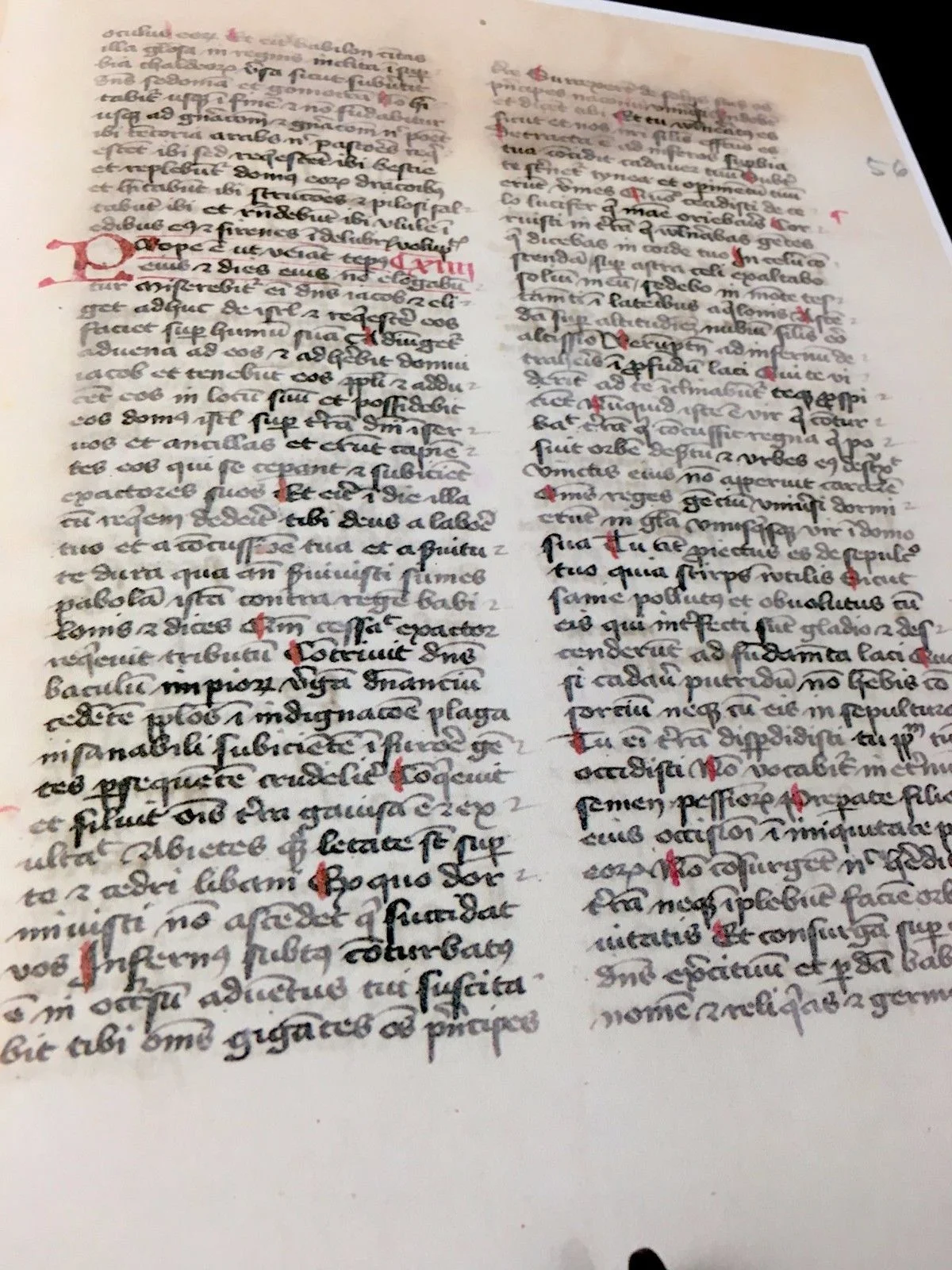 Bible of the Ratisbon Dominican Order, 1450 AD — A. P. Manuscripts