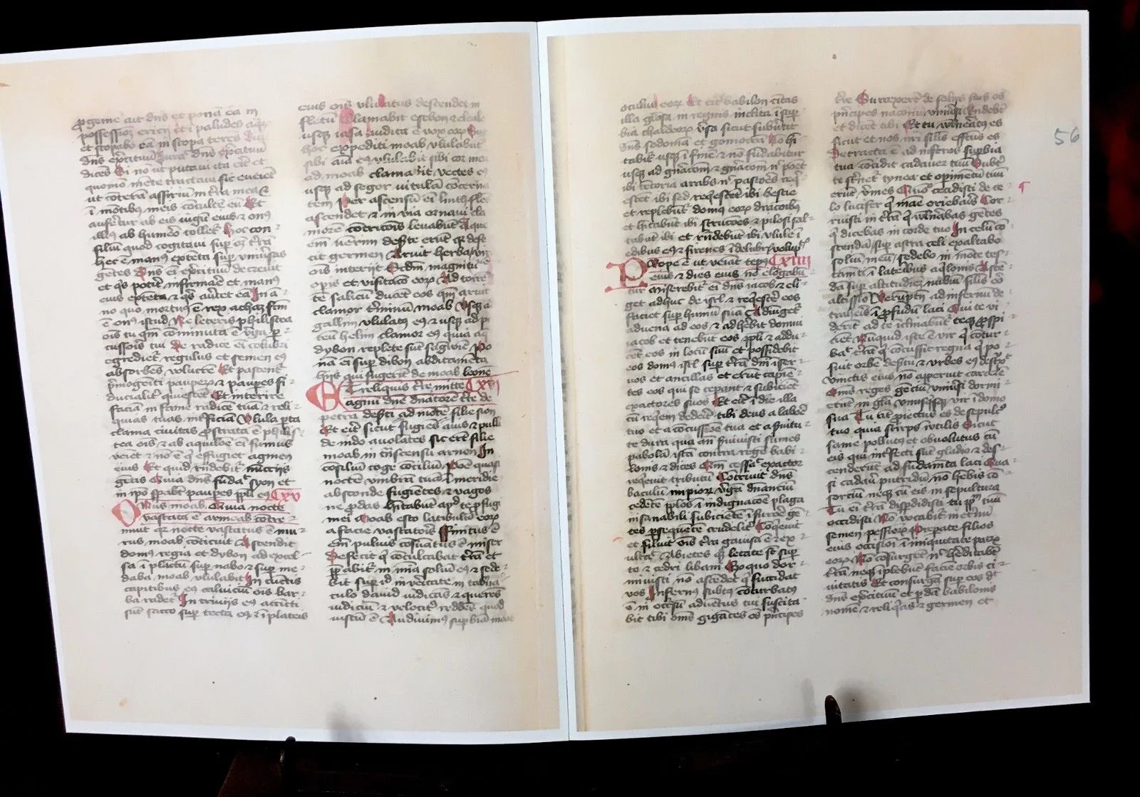 Bible of the Ratisbon Dominican Order, 1450 AD — A. P. Manuscripts