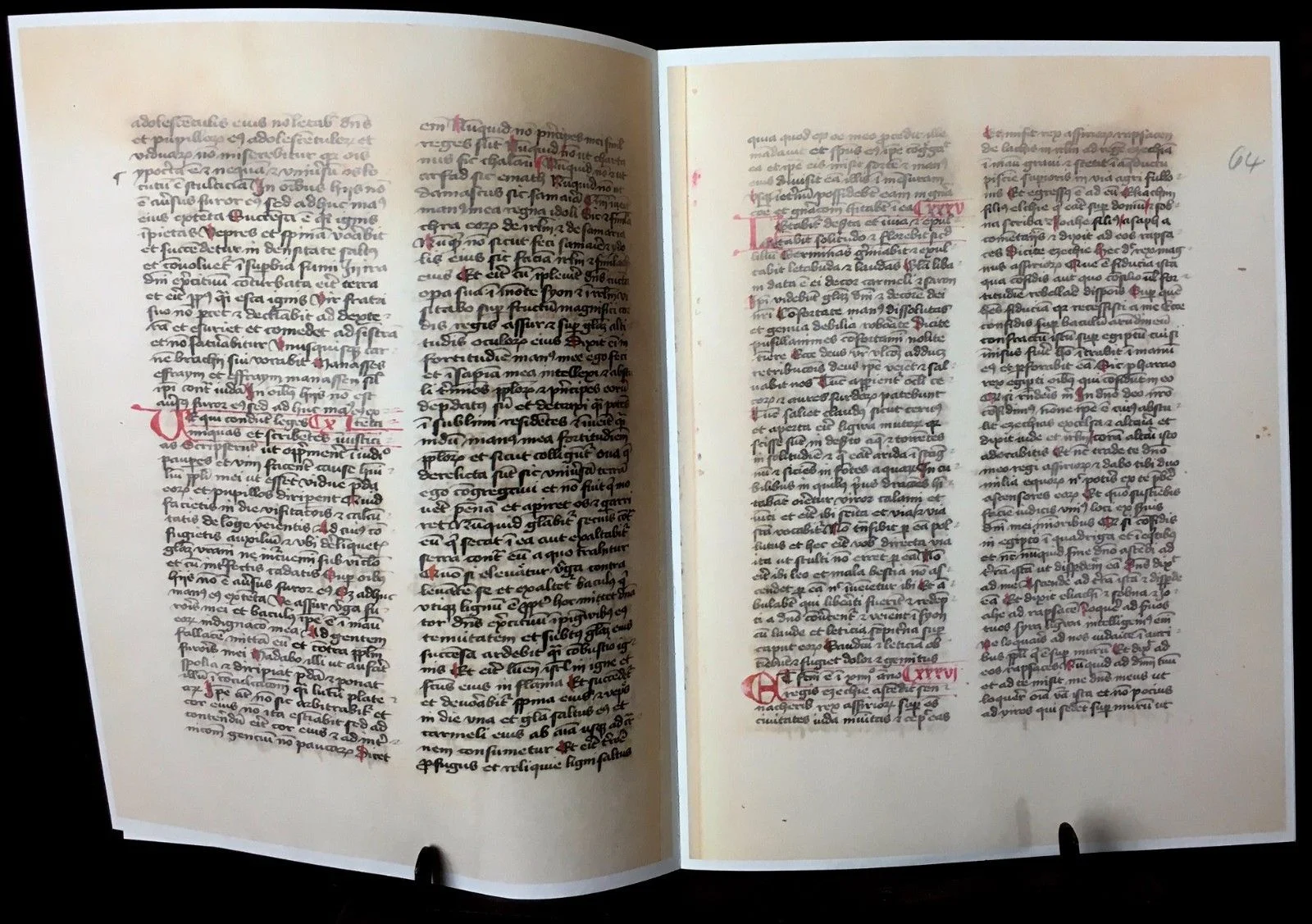 Bible of the Ratisbon Dominican Order, 1450 AD — A. P. Manuscripts