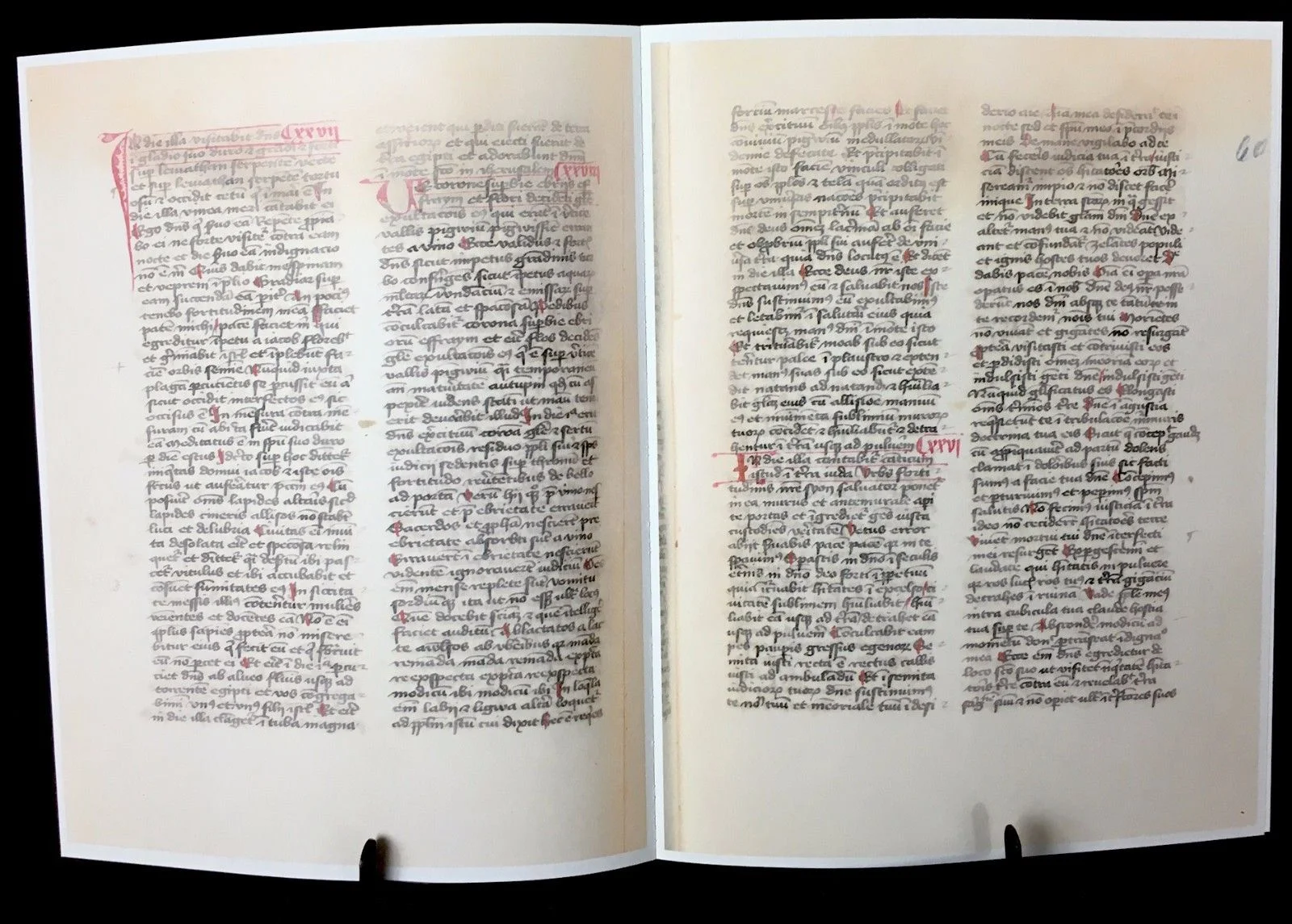 Bible of the Ratisbon Dominican Order, 1450 AD — A. P. Manuscripts