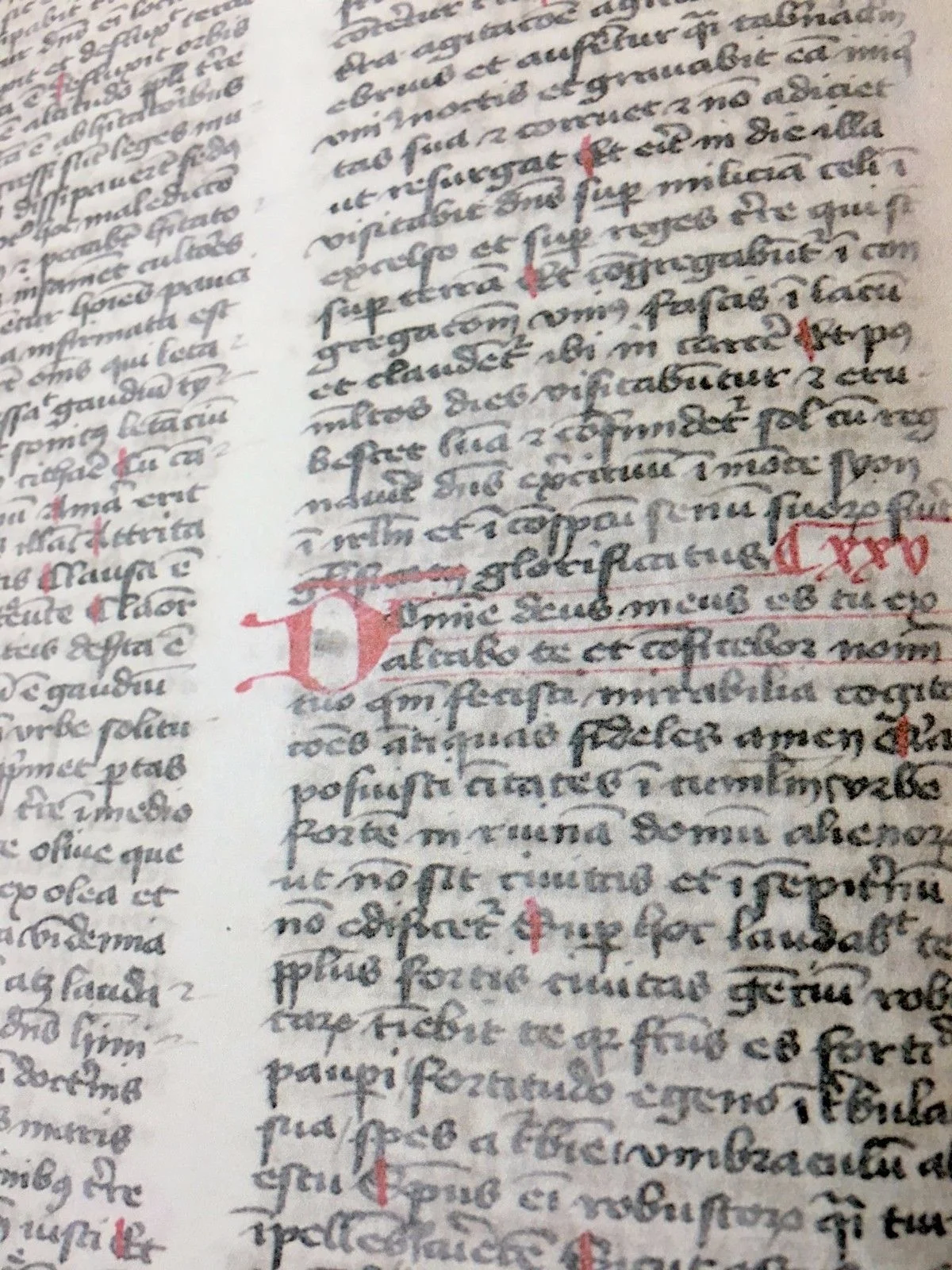 Bible of the Ratisbon Dominican Order, 1450 AD — A. P. Manuscripts