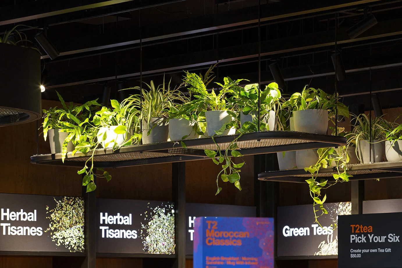 Sandbox Group | T2 launches sustainable store