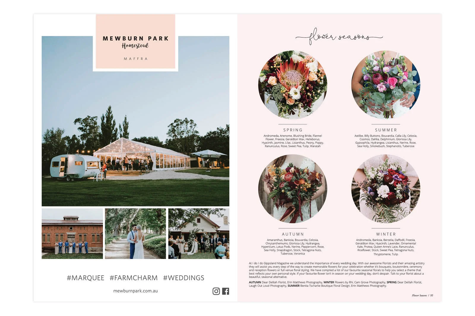 Michaela Mills Design