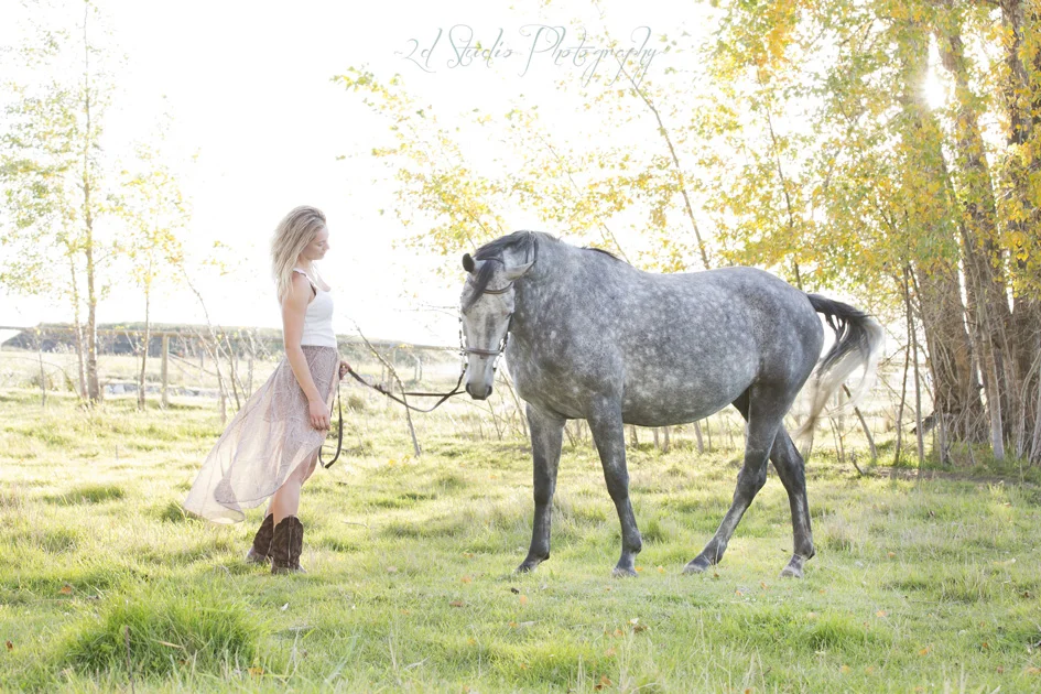 Personal Project - Equestrian Photography Session — 2D Studio Photography