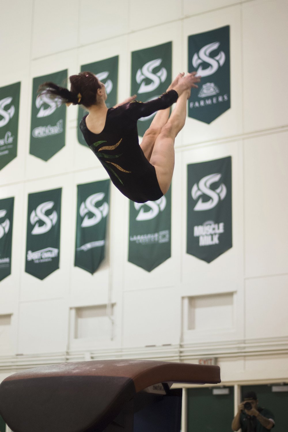 Sac State Gymnastics | March '14 — Amy Lane Photo