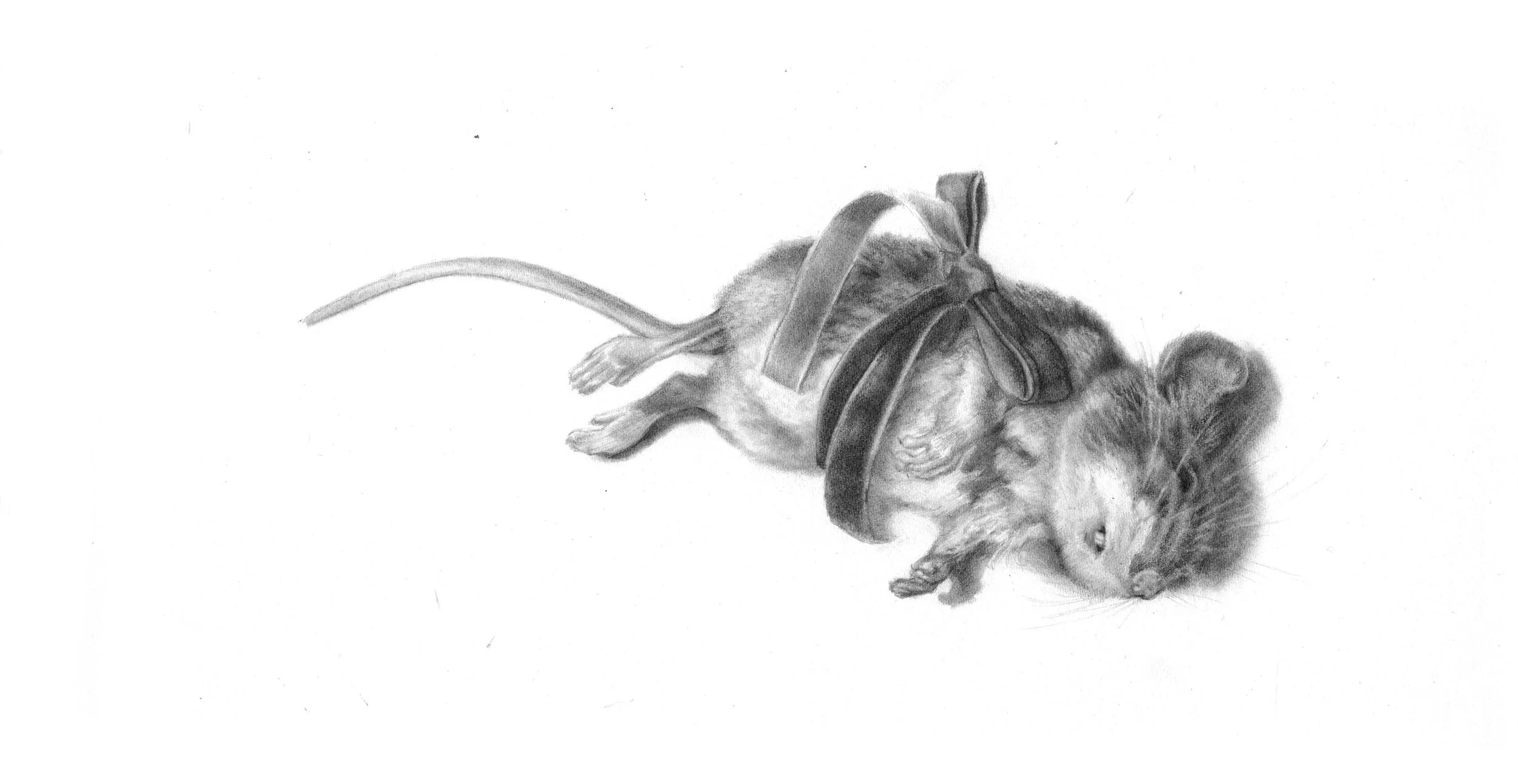 Fine Art — Killackey Illustration