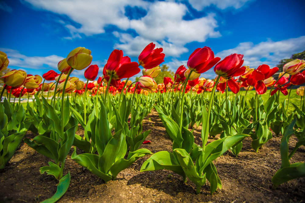 John Knopf Fine Art Landscape Photography Gallery