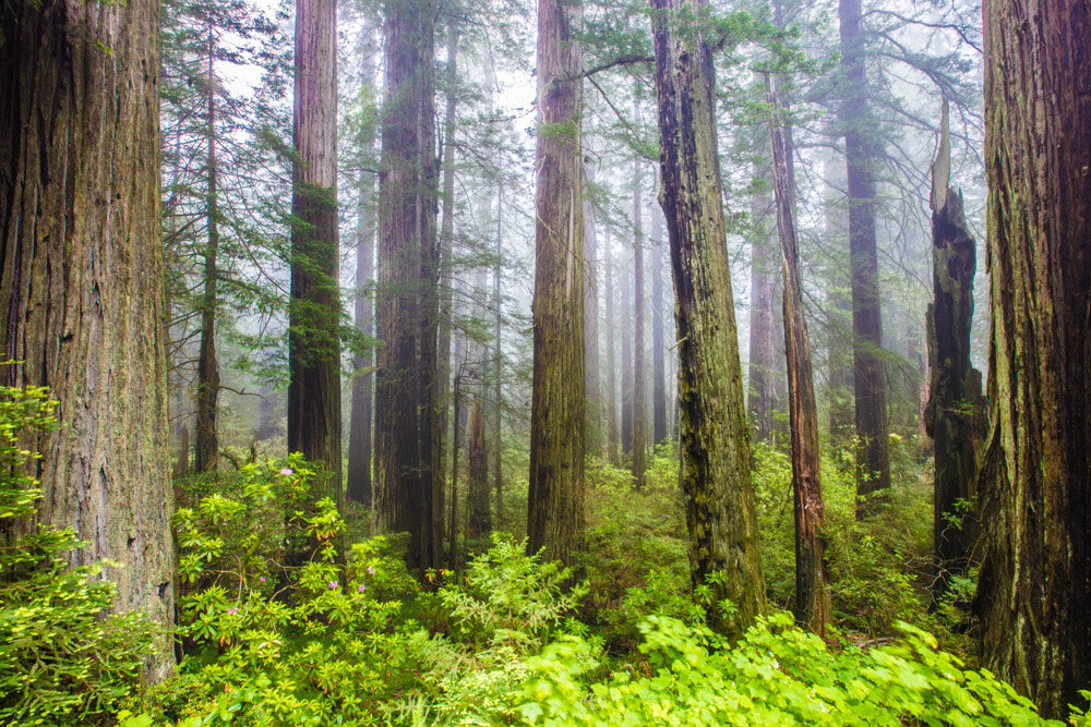 John Knopf Fine Art Landscape Photography Gallery