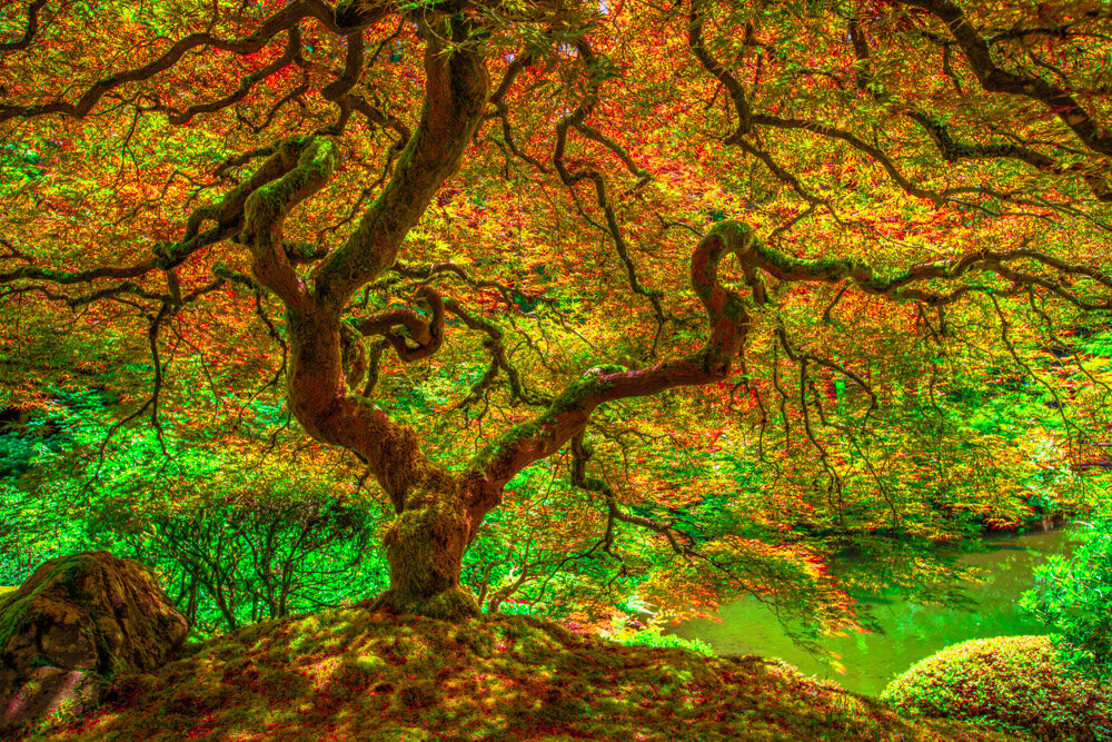 John Knopf Fine Art Landscape Photography Gallery