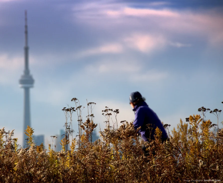 Tommy Thompson Park — LANDinc