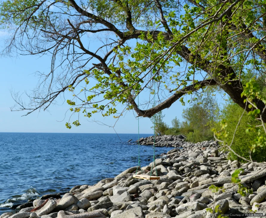 Tommy Thompson Park — LANDinc