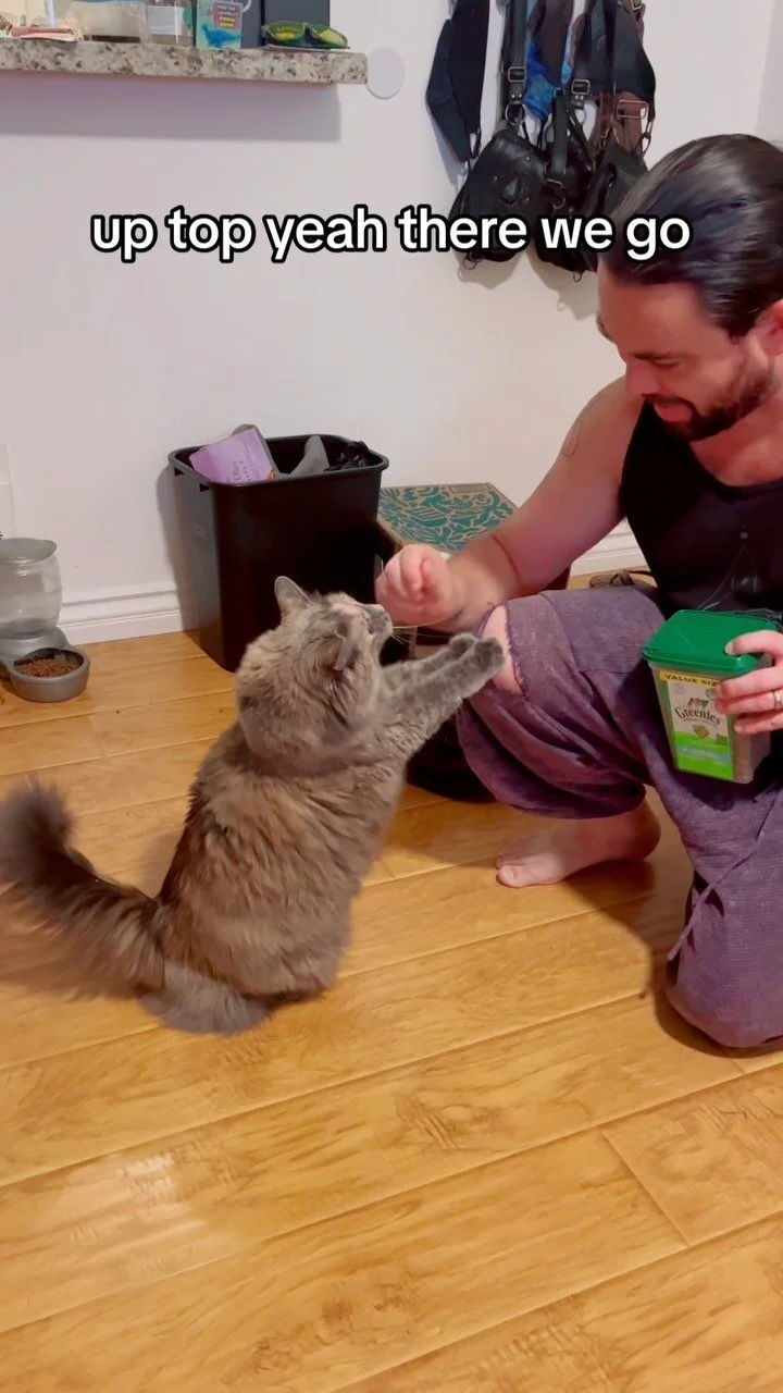 Old Blog — Firefly Lights Design