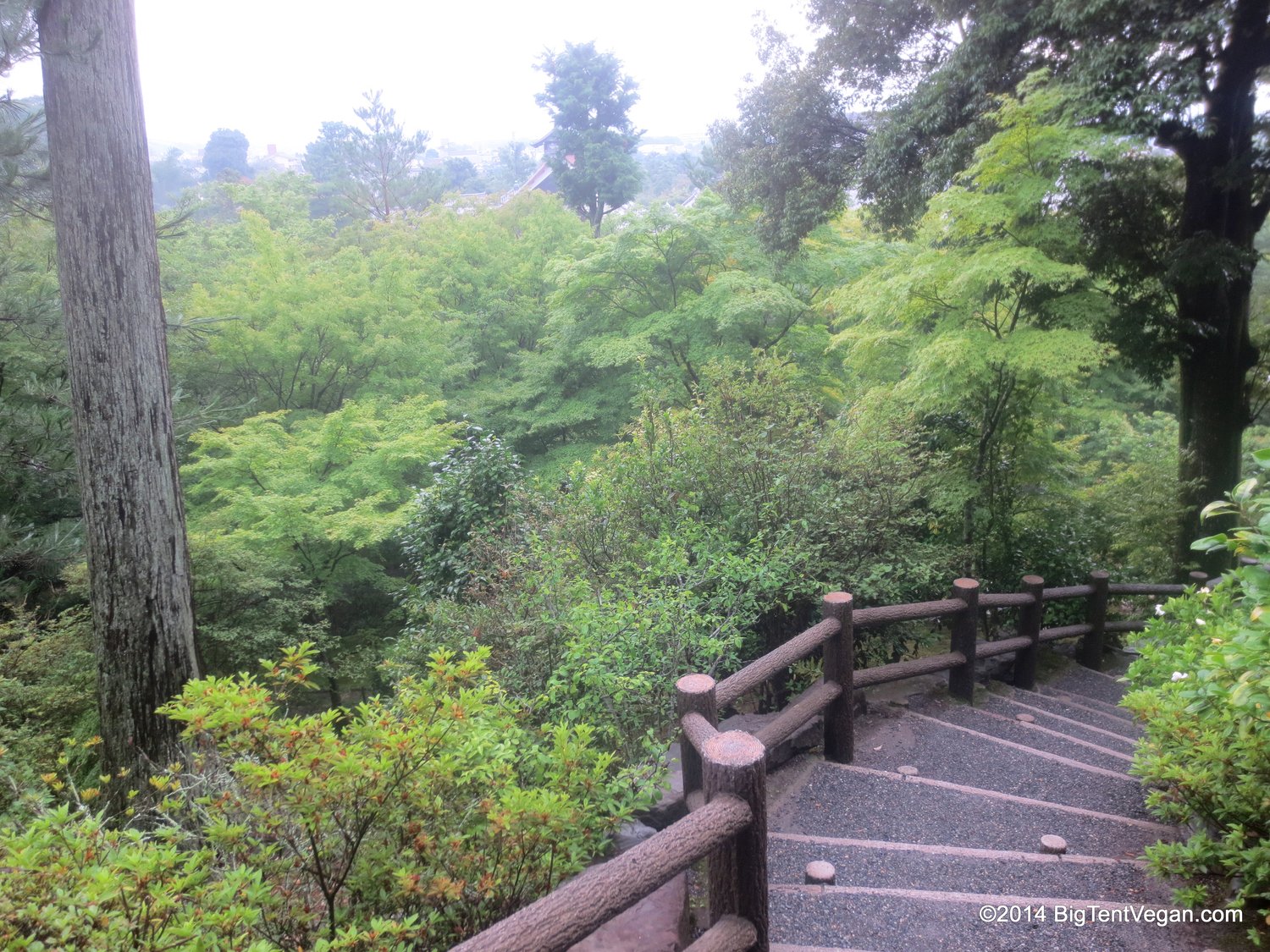 Shigetsu Restaurant inside Tenryuji Temple (Vegan in Kyoto, Japan ...