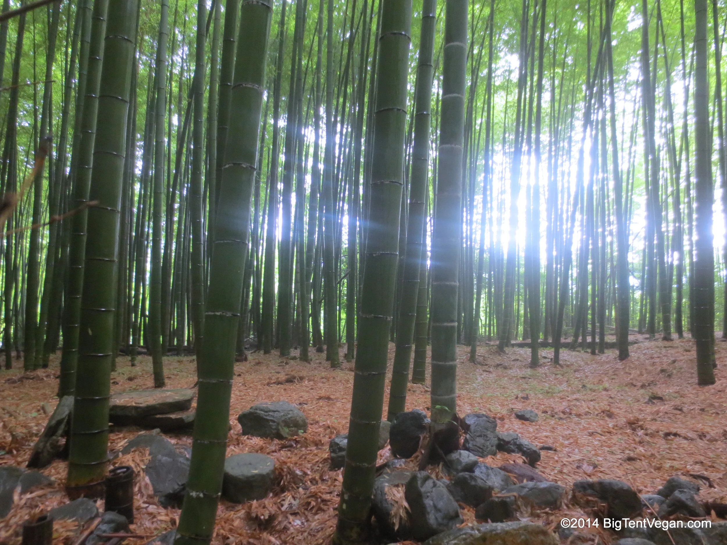 Shigetsu Restaurant inside Tenryuji Temple (Vegan in Kyoto, Japan ...