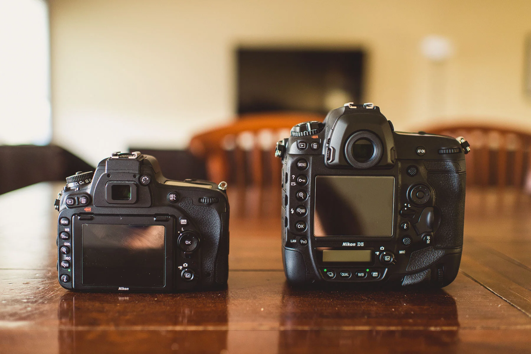 Nikon D5 Review | D5 VS D750 VS D4s — San Diego Wedding Photographer ...