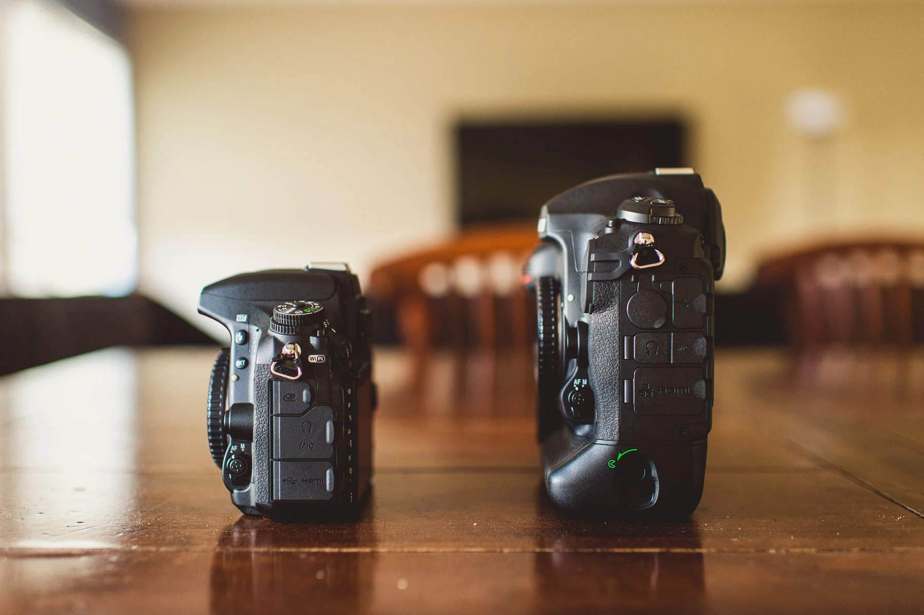 Nikon D5 Review | D5 VS D750 VS D4s — San Diego Wedding Photographer ...
