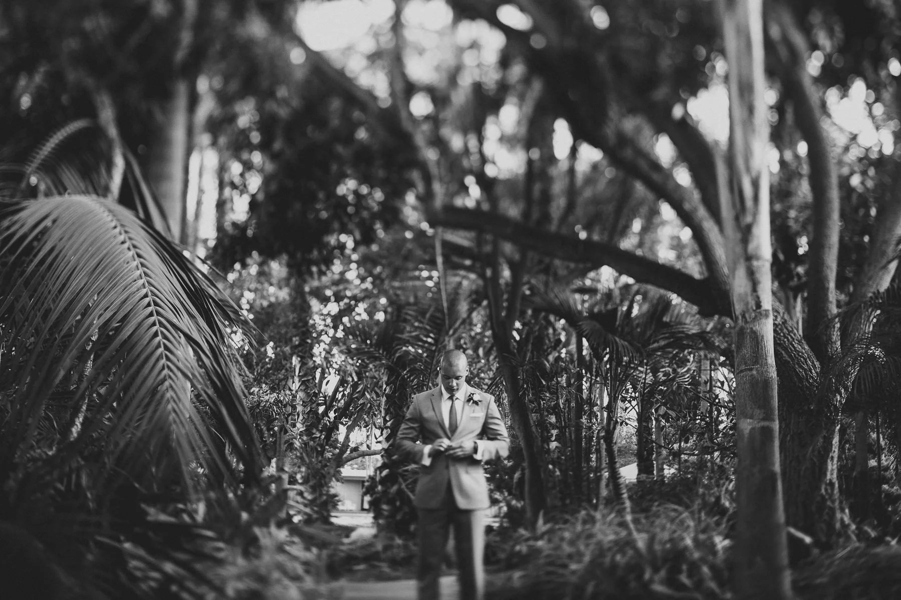 Cara + Patrick | Paradise Point | Wedding Photographers San Diego — San ...