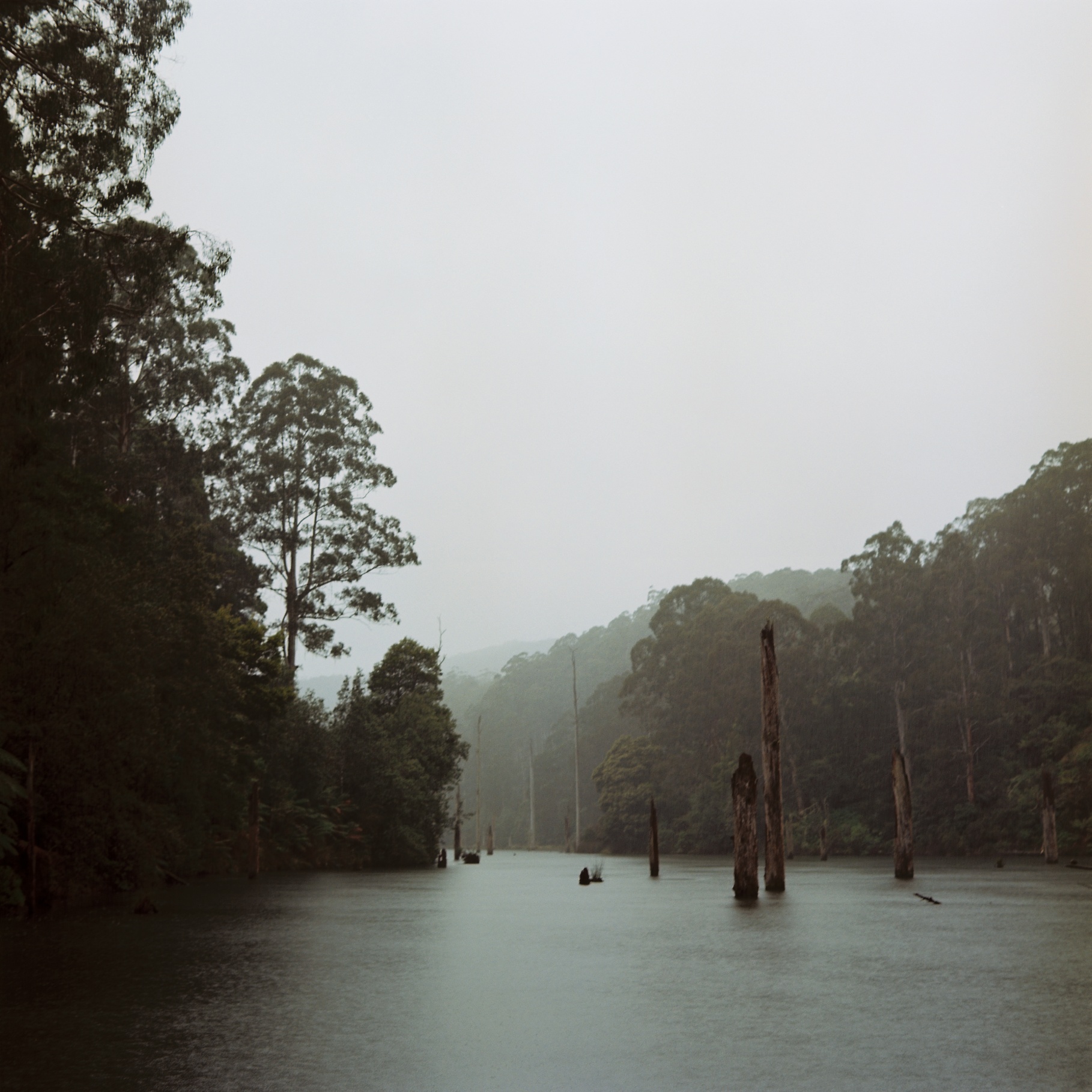 Anita Beaney Photographer