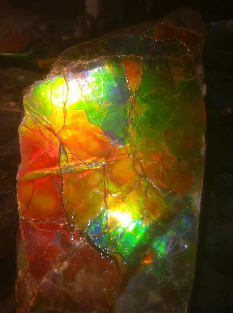 Ammolite Canada